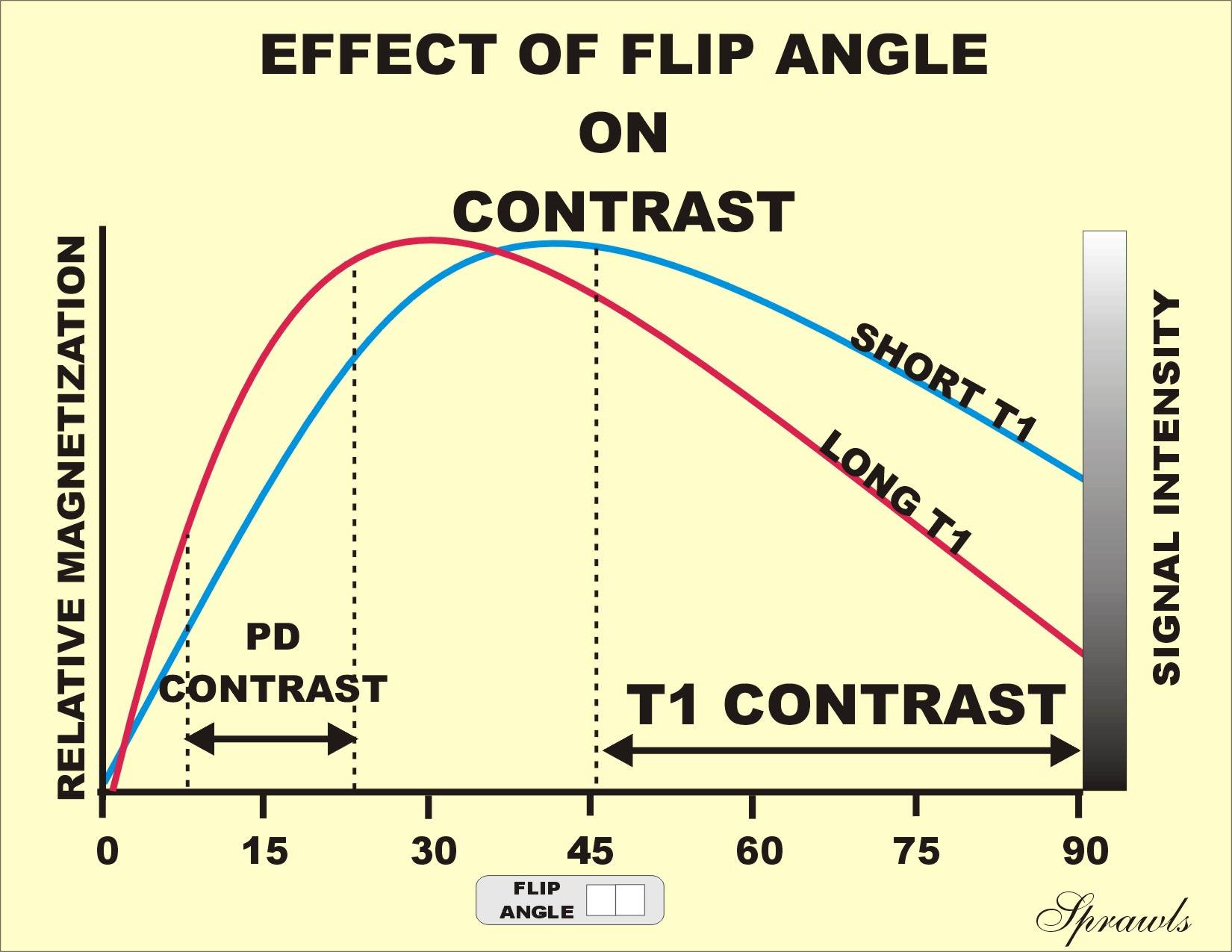 Magnetic Resonance Imaging